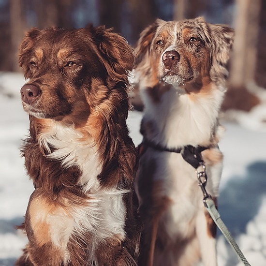 @Taliyah.Ember | Linktree