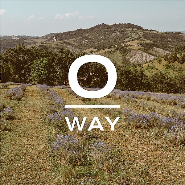 OWAY | Instagram, Facebook, TikTok | Linktree