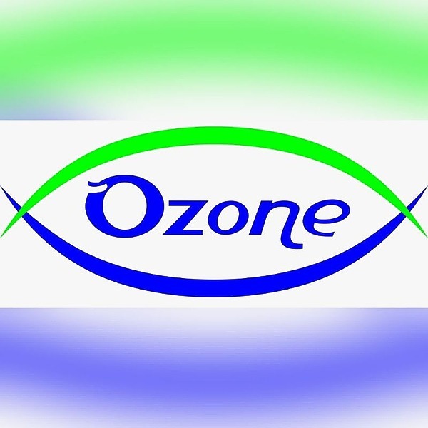 Ozone Tint & Protection Center | Instagram, Facebook | Linktree