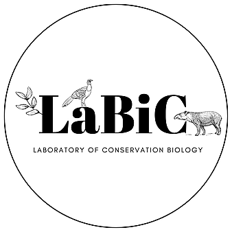 @labic.unesp | Linktree