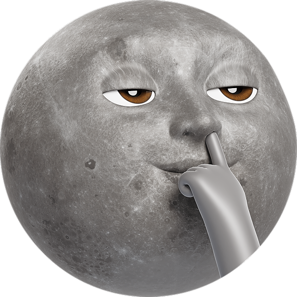 Mr n Mrs Moon | Instagram | Linktree