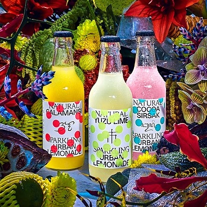 Urban Lemonade | Linktree