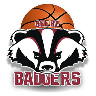 BADGER SPORTS NETWORK | Twitter, Instagram, Facebook | Linktree