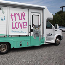 @barcsoffsiteadoption | Linktree