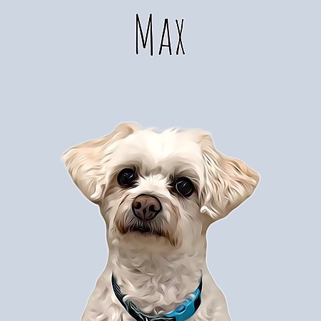 max_the_fluff | Instagram, TikTok | Linktree