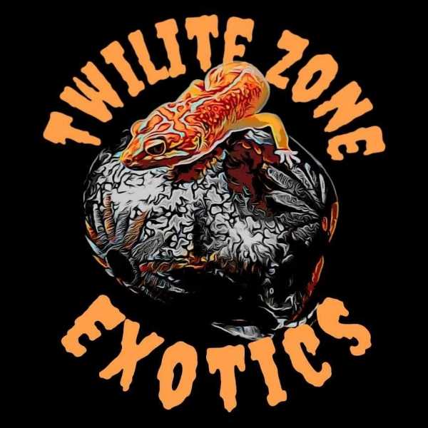 Twylite Zone | Instagram, Facebook | Linktree