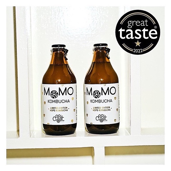 MOMO Kombucha | Linktree