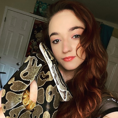 Randi's Small Businesses | Twitter, Instagram, Facebook | Linktree