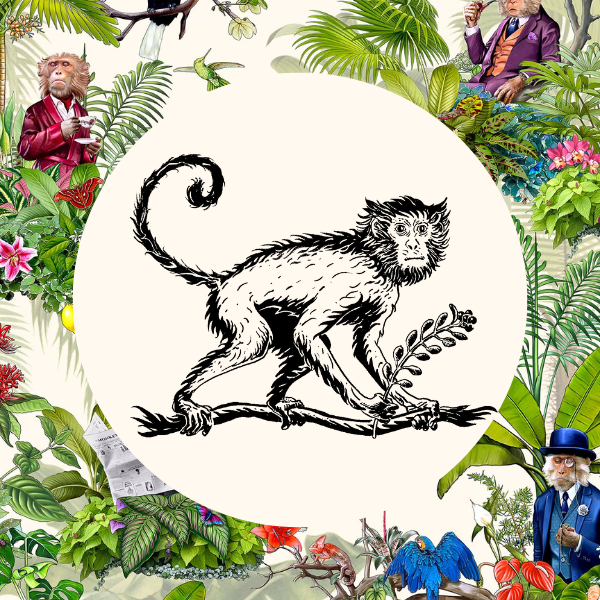 The Wild Monkey London | Linktree