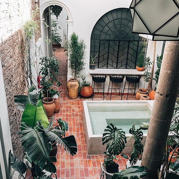 barrio_mexico | Instagram, Facebook, TikTok | Linktree