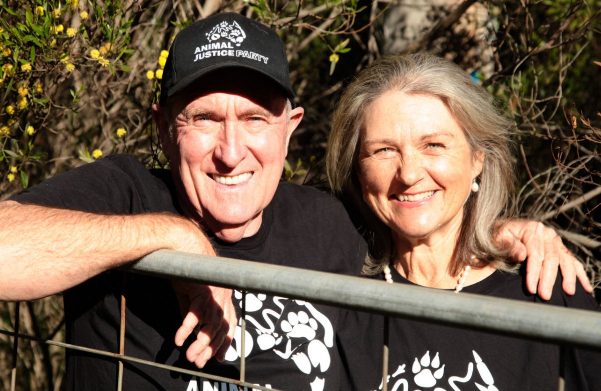 Lisa Findlay | Facebook | Linktree