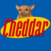 Cheddar the Rotund Rat 🐭 | Instagram, Facebook, TikTok | Linktree