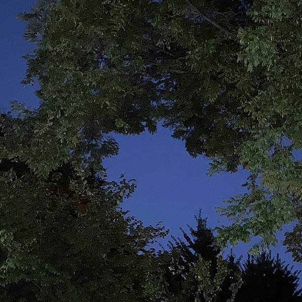 @jaehui_hur | Linktree