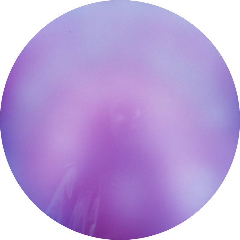 julieta_salgado - Listen on Spotify - Linktree