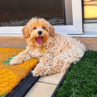 nala! | Instagram, TikTok | Linktree