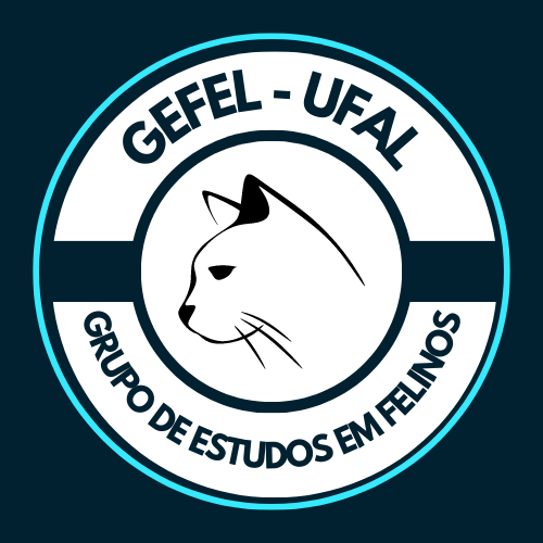 @gefel_ufal | Linktree