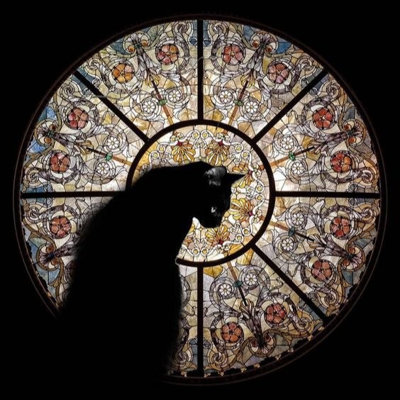 Krypto_nat | Twitter, Instagram, Twitch | Linktree