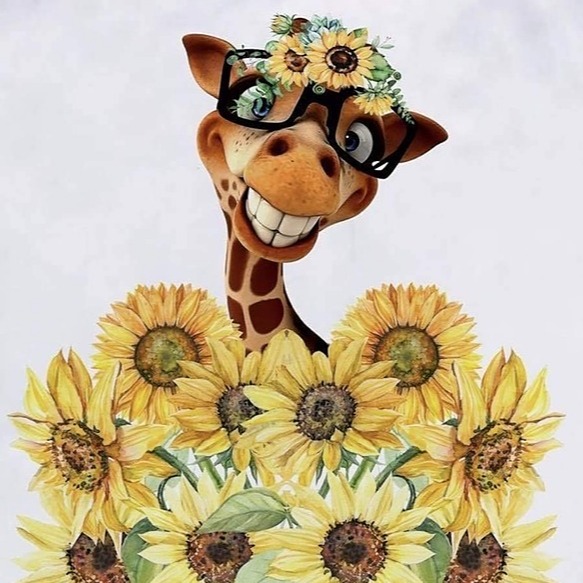 crazygiraffe | Facebook | Linktree