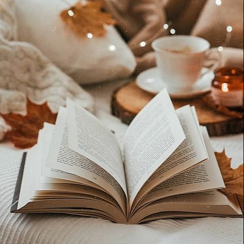 Querido Leitor | Linktree