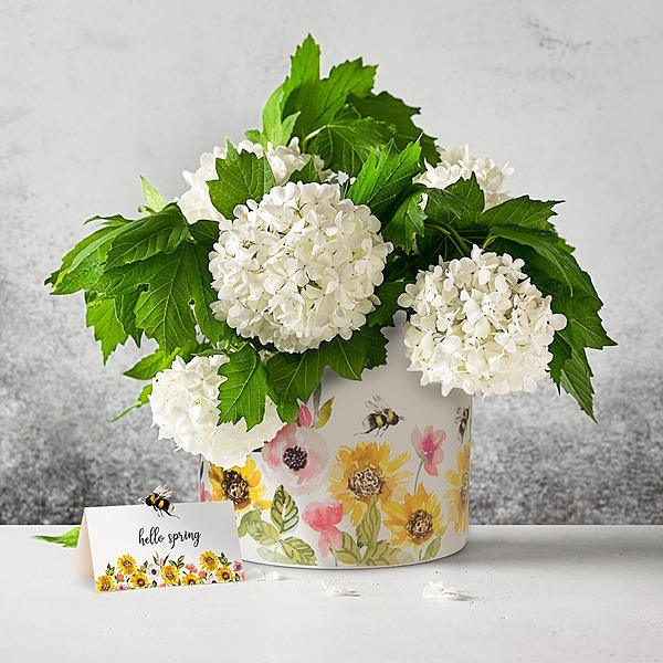 Abbott Giftware | Linktree