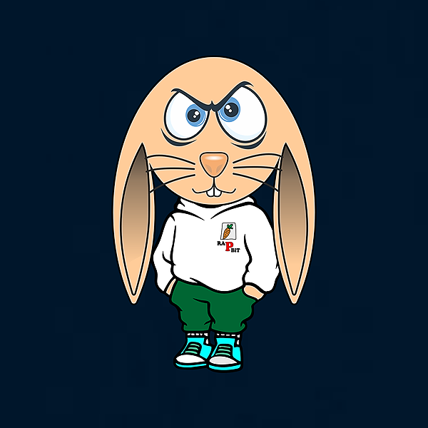 RaPBit Official | Twitter, Instagram | Linktree