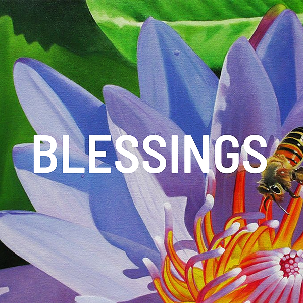 Blessings All Natural | Instagram, TikTok | Linktree