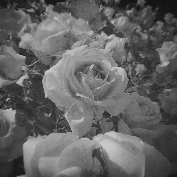 Snow Rivera | Linktree