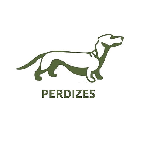 @fisiocarepet.perdizes | Linktree