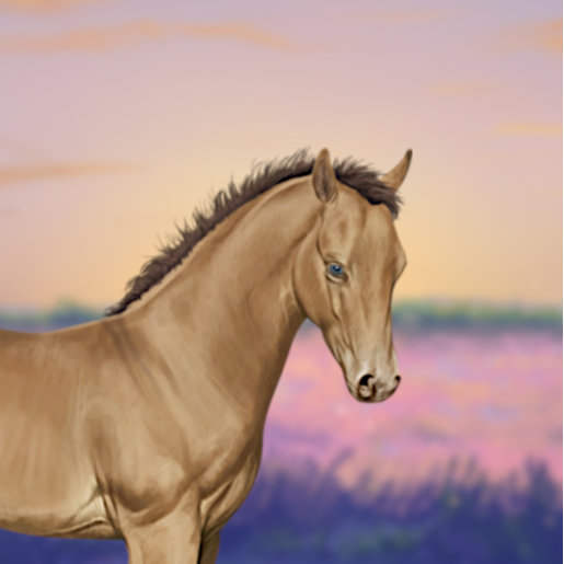 Oak Hollow Stables | Linktree