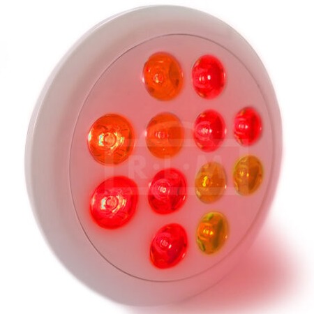 Joe Bianco - Become Something New Blog | Linktree