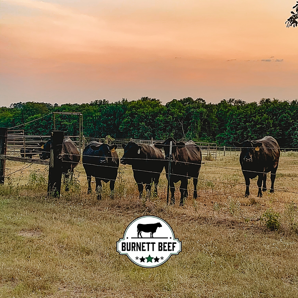 Burnett Beef | Linktree