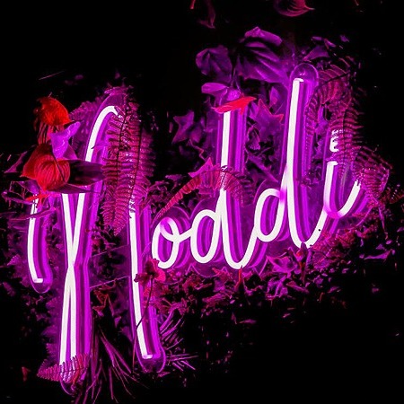 noddi | Instagram | Linktree