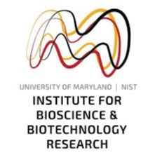 ibbr_umd | YouTube | Linktree