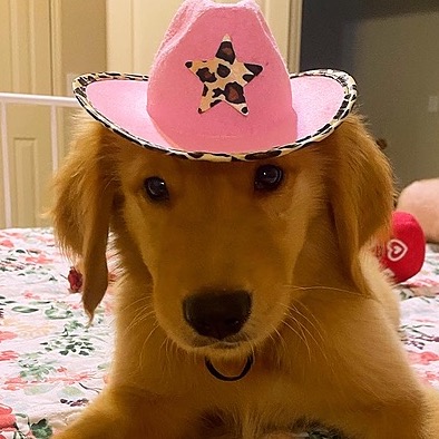 Cheyleesi | Twitter, TikTok, Twitch | Linktree