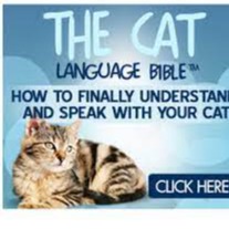 @kingdomofpets | Linktree