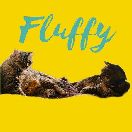 fluffy_animals | Instagram | Linktree