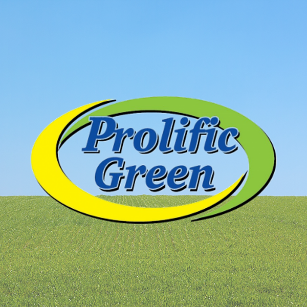 Prolific Green | Linktree