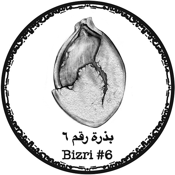 Bizri #6 | Instagram | Linktree