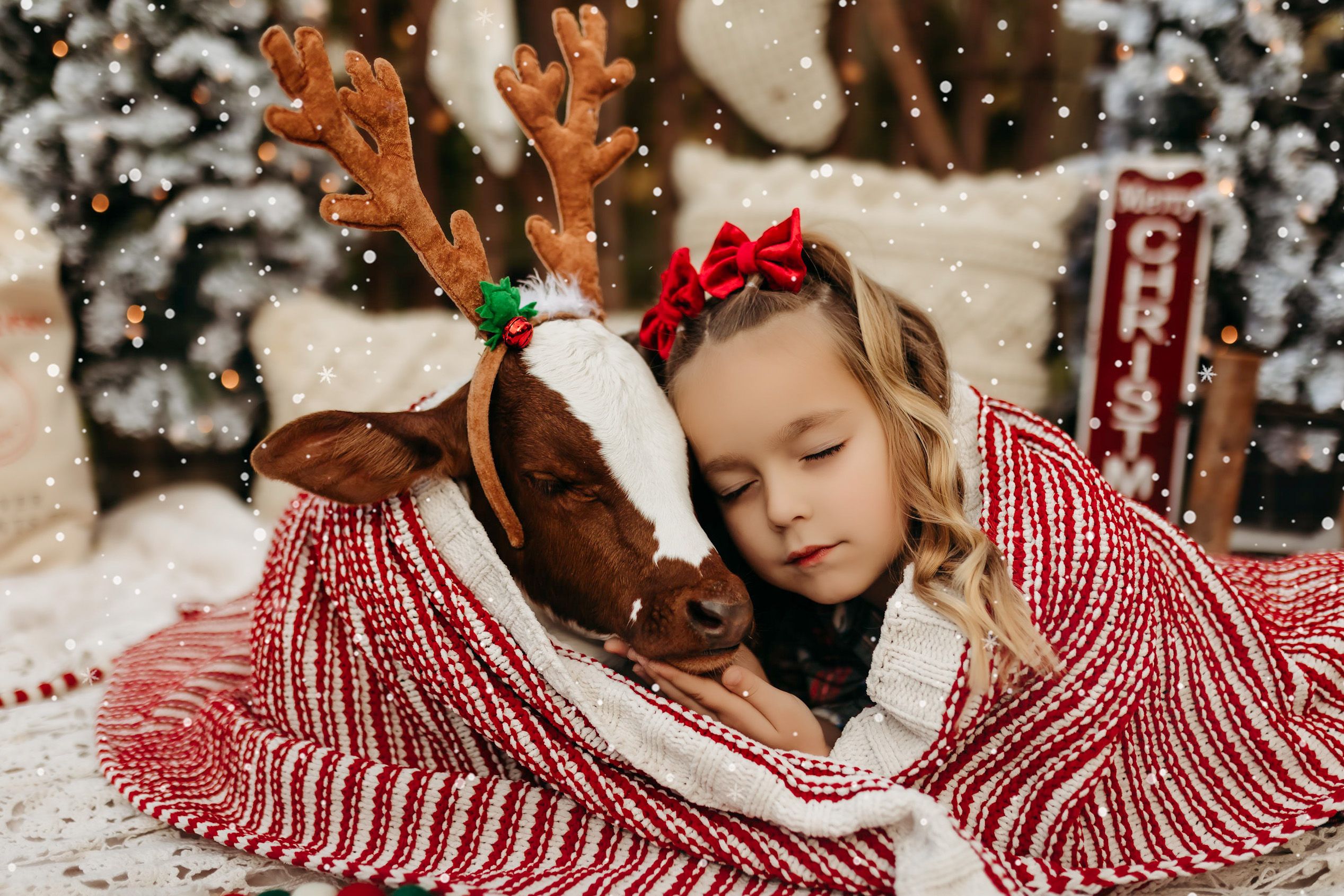 Rissa’s Little Moos LLC | Instagram, Facebook, TikTok | Linktree