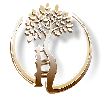 ORTOP-REVIEW | Instagram | Linktree