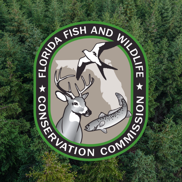 myfwc | Twitter, Instagram, Facebook | Linktree