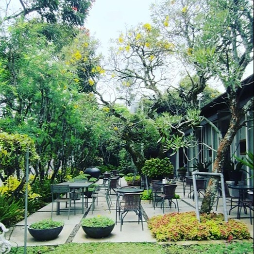 Triptych Cafe | Linktree