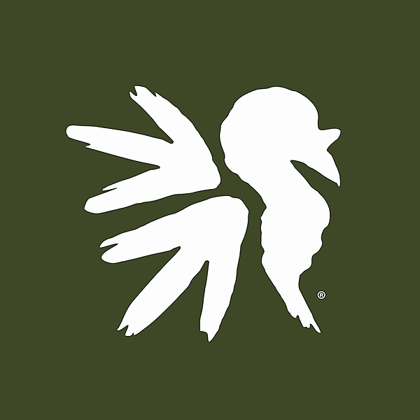 @official_nwtf | Linktree