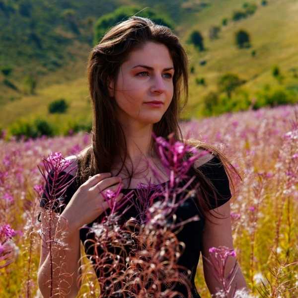 Wild Emmeline | Linktree