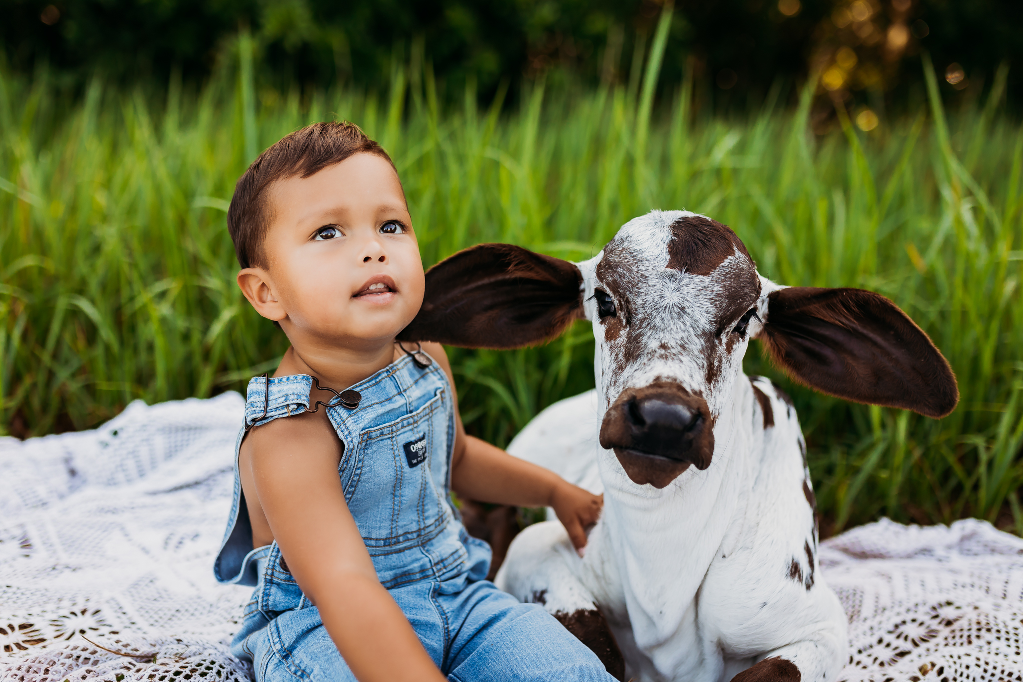 Rissa’s Little Moos LLC | Instagram, Facebook, TikTok | Linktree