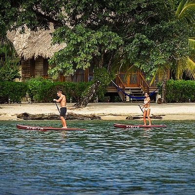 TurtleInn | Instagram, YouTube, Facebook | Linktree