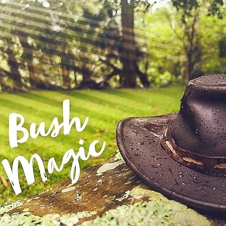 Bush Magic Adventures 🌱 | Linktree