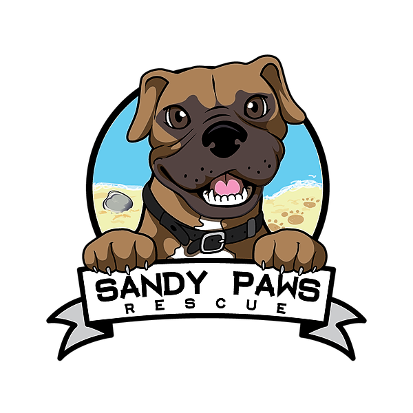 Sandy Paws Rescue inc | Instagram, Facebook, TikTok | Linktree