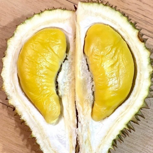 Raja Buah | Linktree