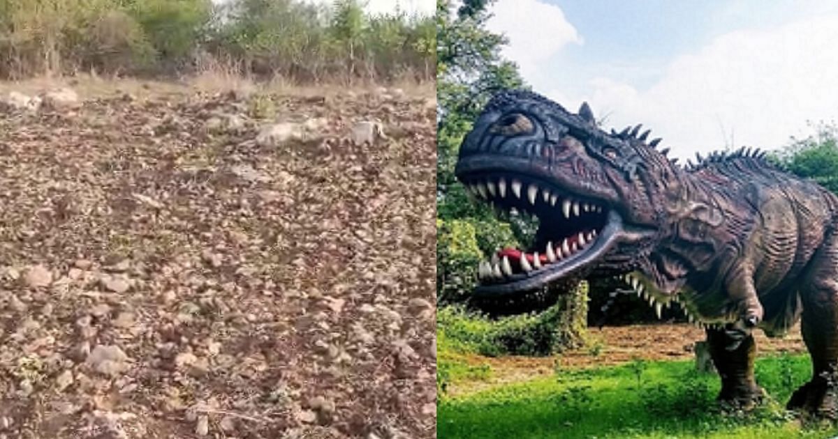 @saamtvnews | Linktree